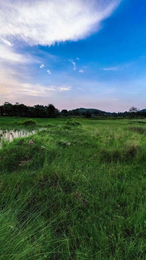 Background View of a Village Area Stock Image - Image of sunset, cloud ...