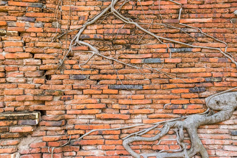 Vintage Red Brick Wall Texture Stock Image - Image of horizontal ...