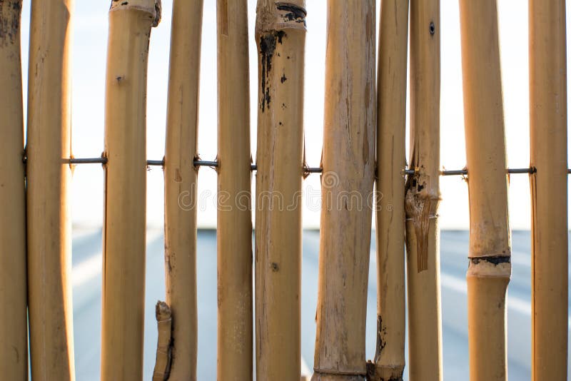 Background Wall of Bamboo Sticks Stock Image - Image of bamboo, bind ...