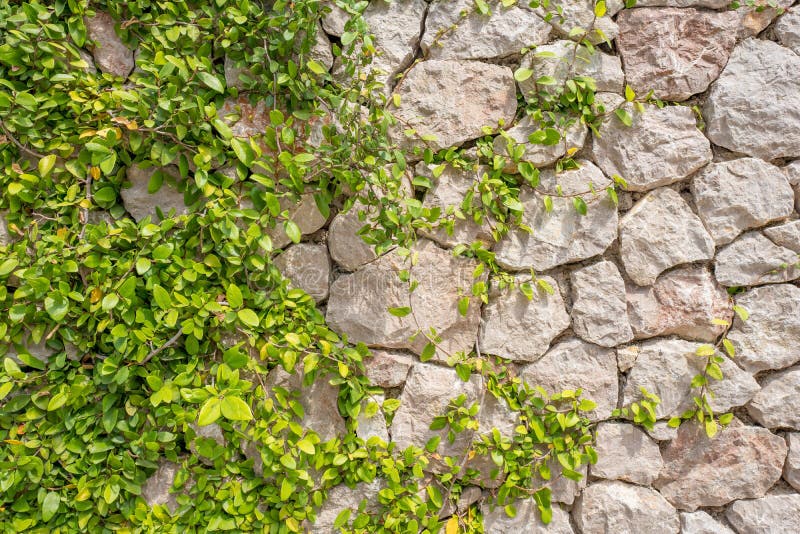 Basalt Blocks and Three Little Pyramids Near Pyramid of Khufu or the ...