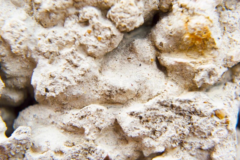 Background Wall from Close Range Stock Image - Image of background ...