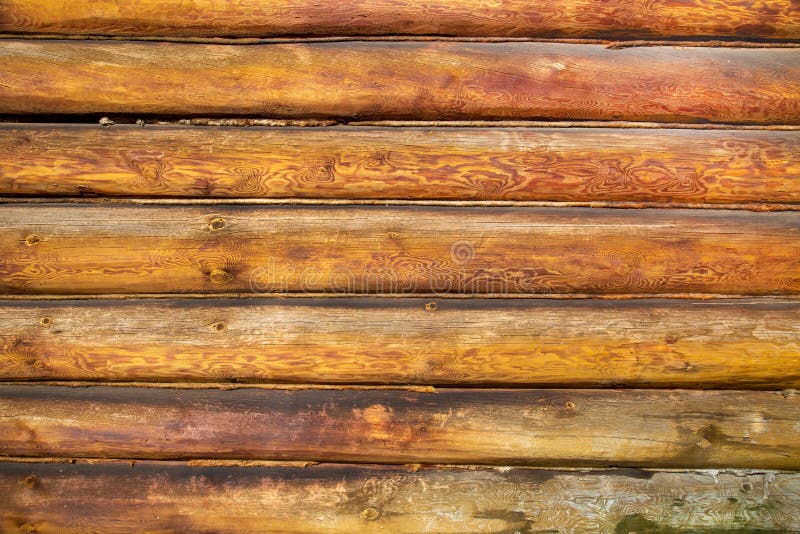 The Background of the Wall is Made of Softwood Logs of Brown Color with ...