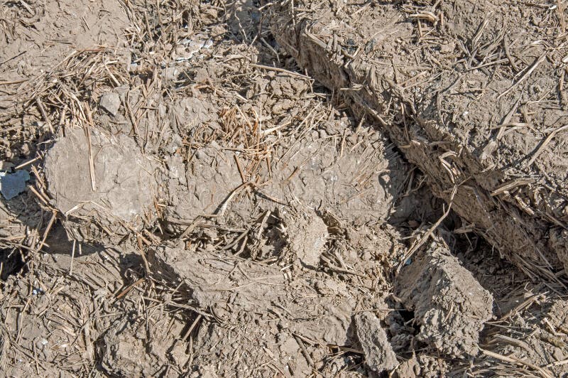 Wall adobe mud and straw stock image. Image of adobe - 32270983