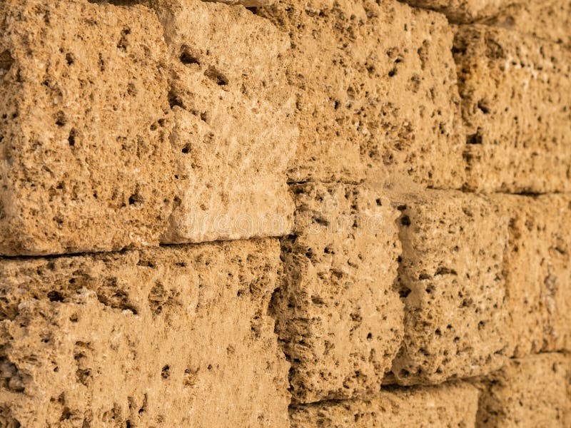 Background with Wall from Shell Rock Material Stock Image - Image of ...