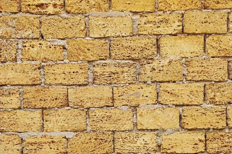 Background with Wall from Shell Rock Material Stock Image - Image of ...