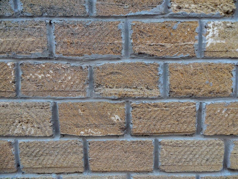 Background Wall with Shell Rock. Old Wall. Texture Limestone Stock ...