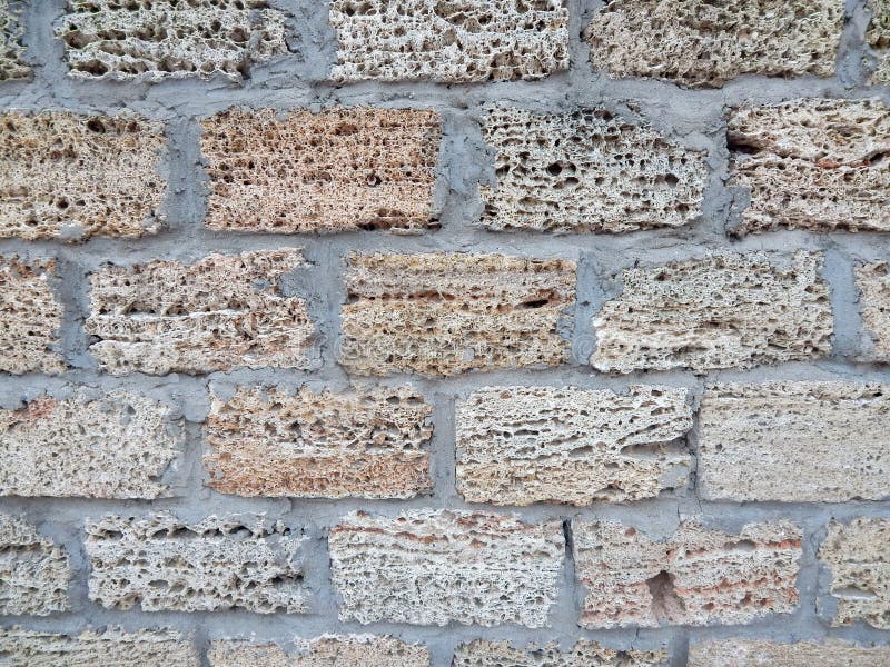 Background Wall with Shell Rock. Old Wall. Texture Limestone. Texture ...