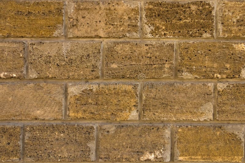 Background, Wall Texture Limestone, Shell Rock. Stock Image - Image of ...