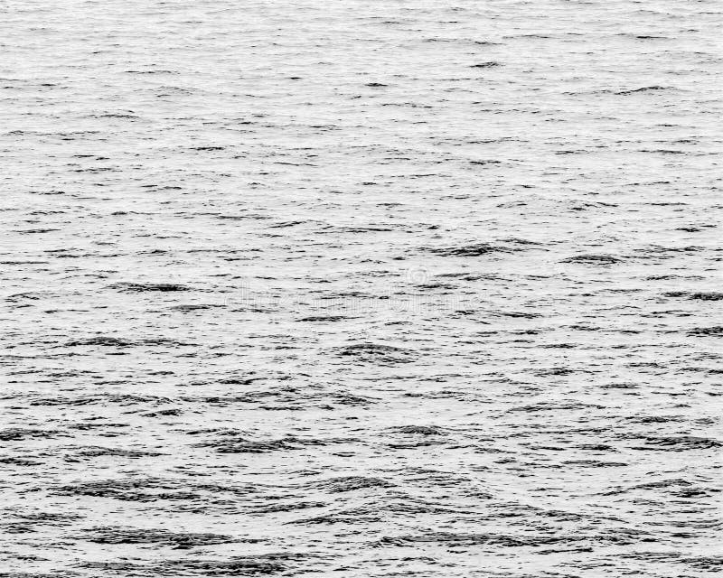 Background Wallpaper Gray Water Ripples Closeup. 3D Rendering Stock ...