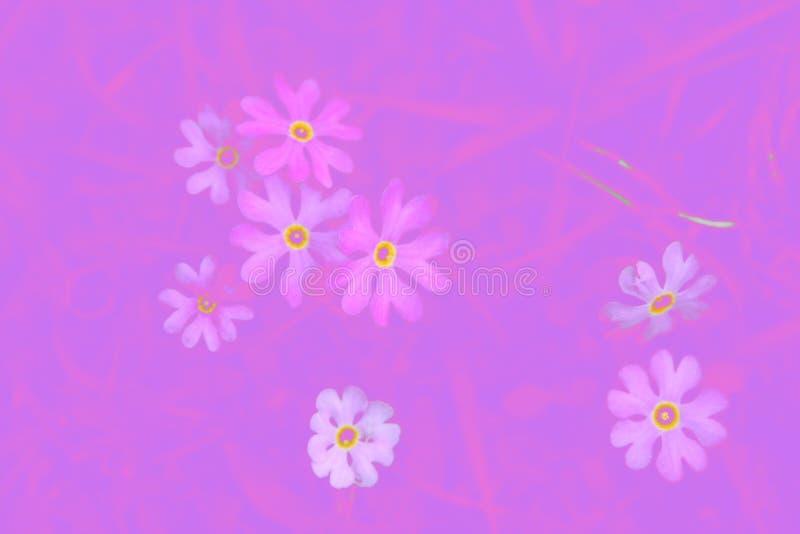 Background or Wallpaper Use for Printing Media Matter Stock ...