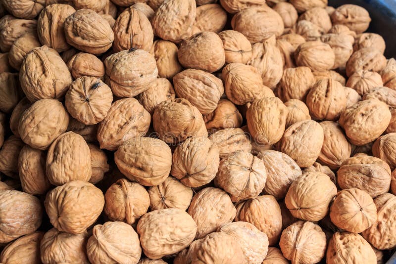 Background of walnuts stock photo. Image of dark, plank - 83755896