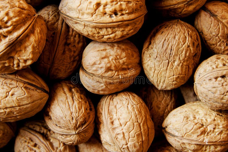 Background of walnuts stock image. Image of nutmeat, walnuts - 79849395