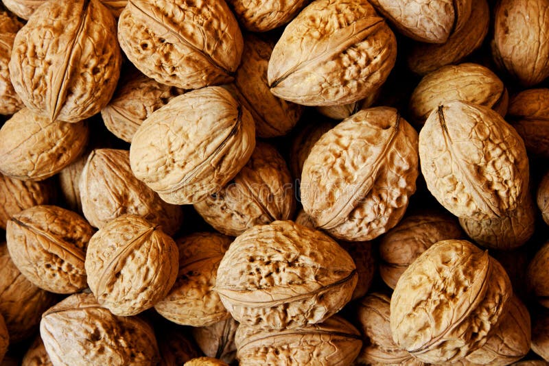 Background of walnuts stock image. Image of nutmeat, walnuts - 79849395