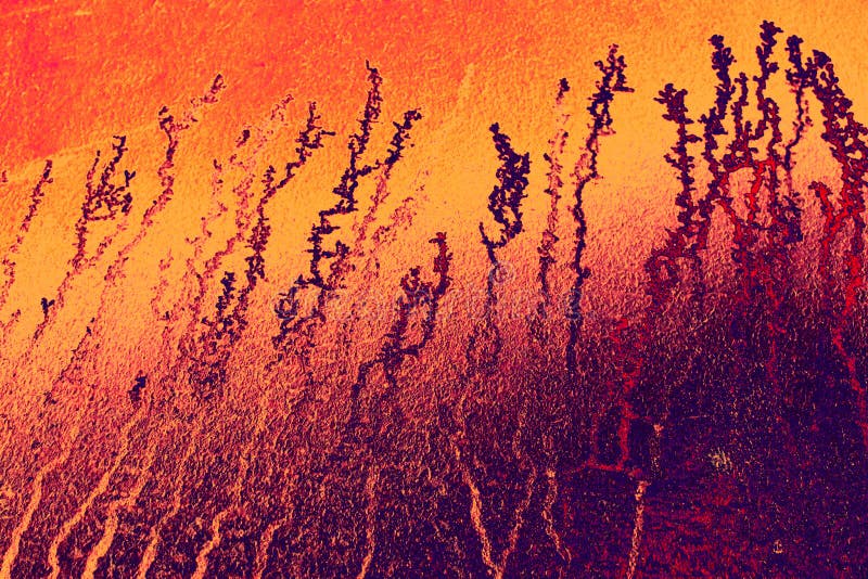 Very Complex Structure Formed by Tubes and Spheres As Molecules with ...