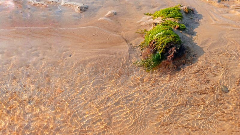 Background of Water Currents Over Receding Beach Sand Stock Image ...