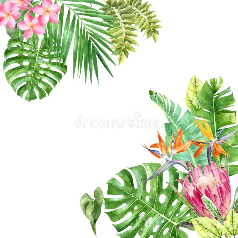 Green Summer Tropical Header with Exotic Palm Leaves and Plant. Vector ...