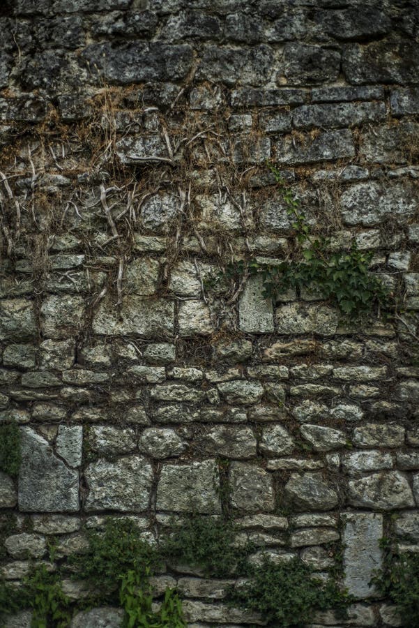 Background of a Weathered Stone Wall with Greenery Growing on it. Stock ...