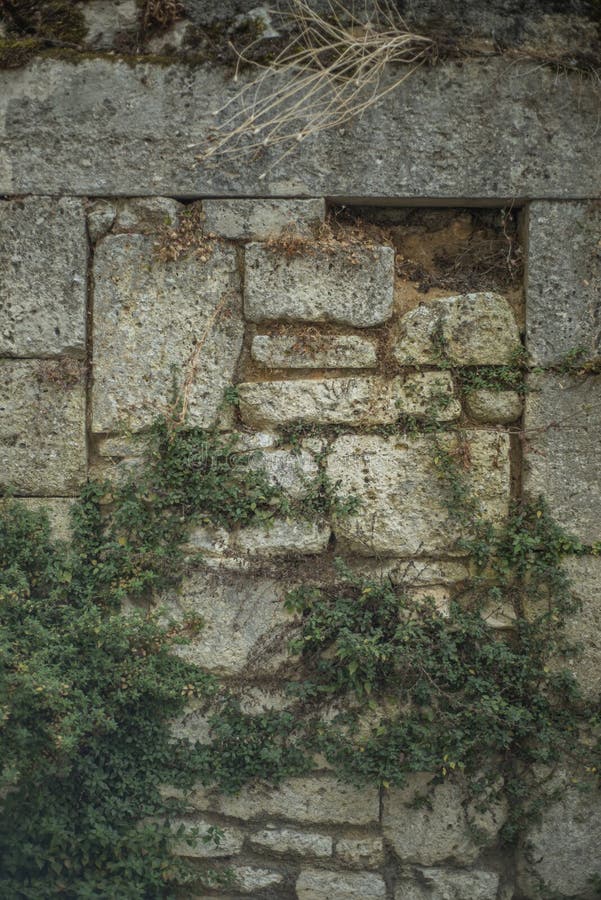 Background of a Weathered Stone Wall with Greenery Growing on it. Stock ...