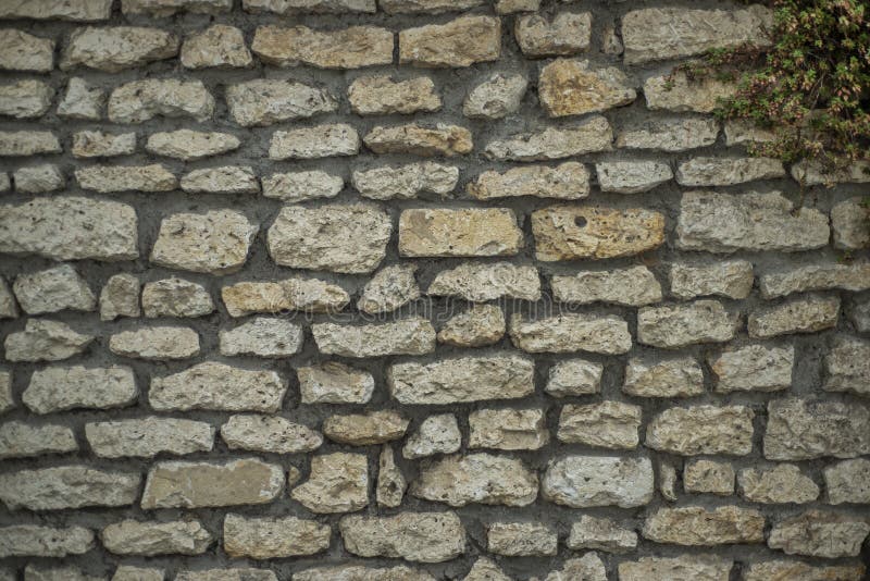 Background of a Weathered Stone Wall with Greenery Growing on it. Stock ...