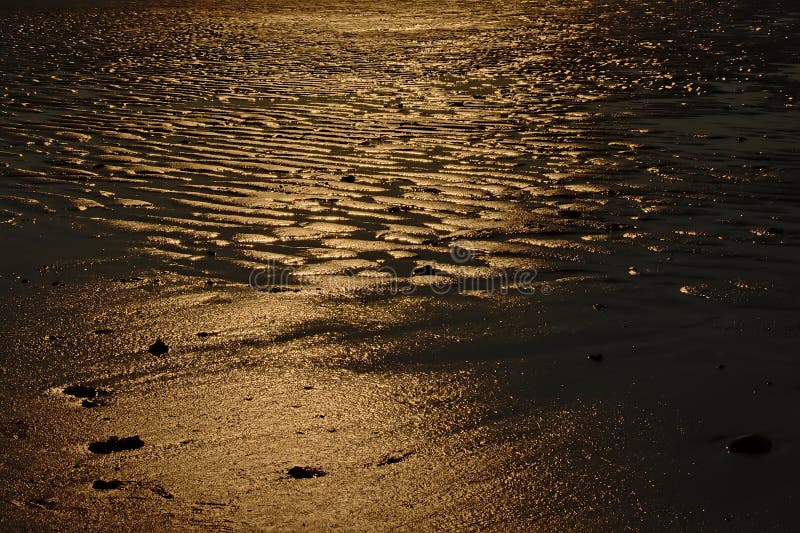 Wet Sand in the Evening Sunlight Stock Photo - Image of evening, sand ...