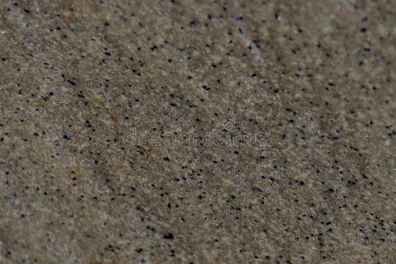 Background of Wet and Shiny Sand Close Up Stock Photo - Image of ...