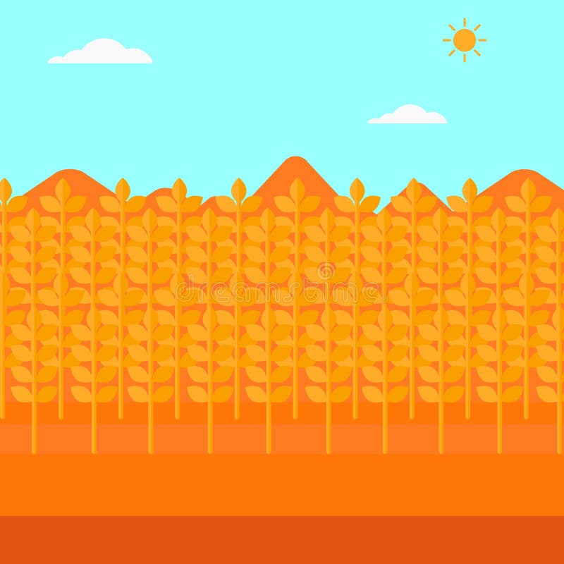 Background of wheat field. stock vector. Illustration of growing - 66626034