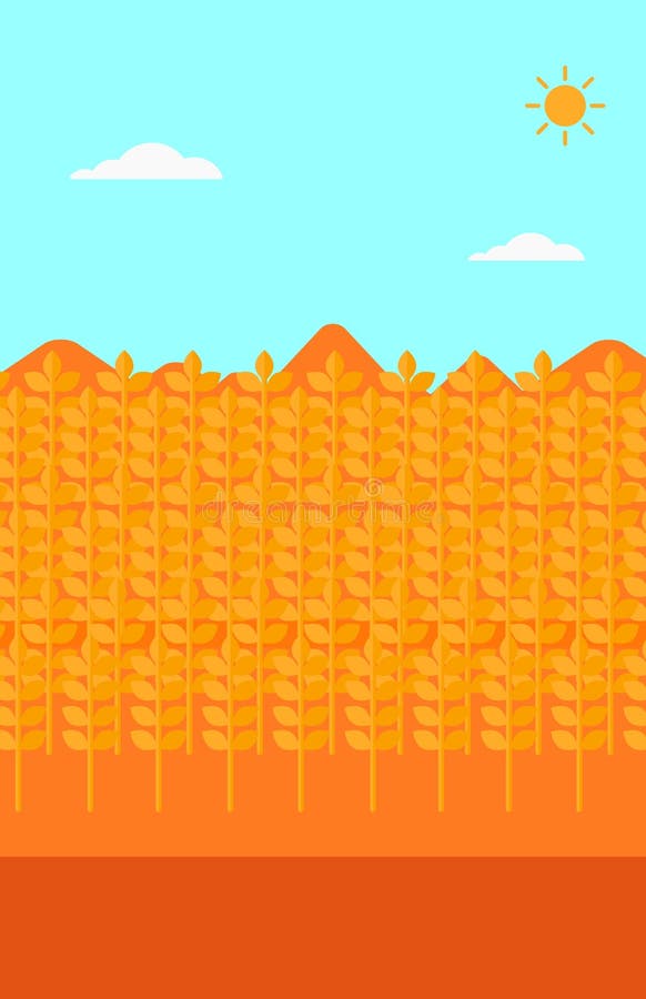Background of wheat field. stock vector. Illustration of environment ...