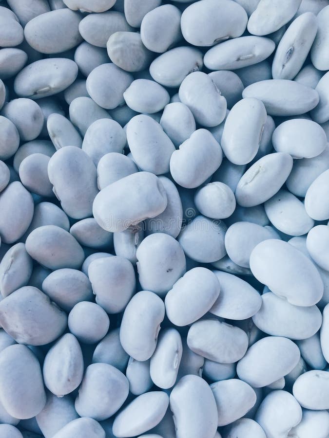 Background with White Beans. Blue Texture Stock Image - Image of colors ...