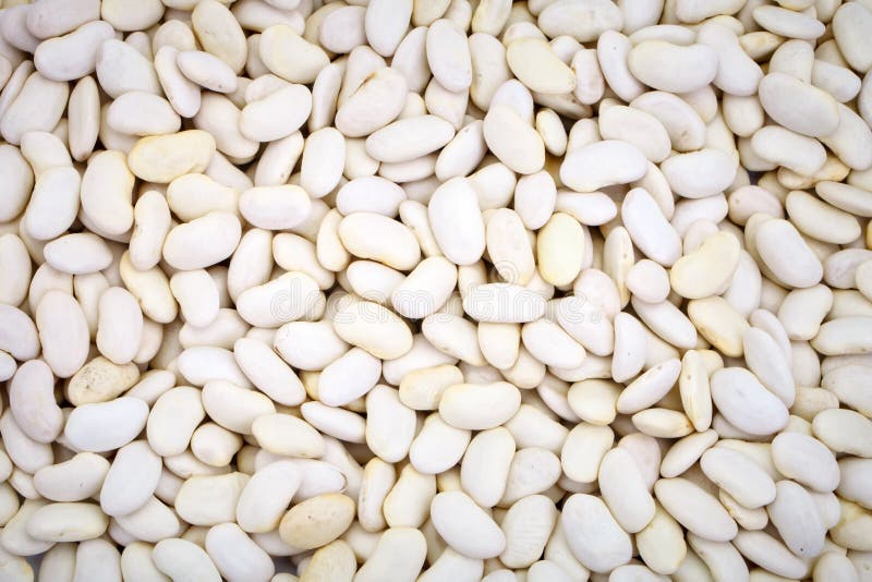 Background of white beans. stock photo. Image of closeup - 98059650