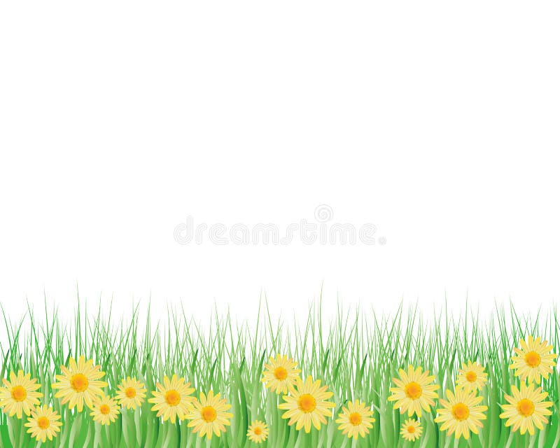 Background of White Daisy Illustration Stock Vector - Illustration of ...