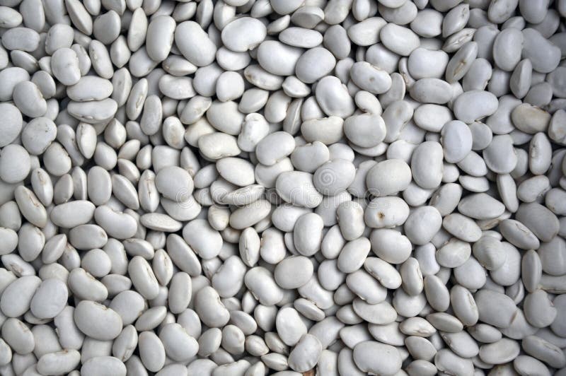 Background of White Dry Beans Stock Photo - Image of nature, textured ...