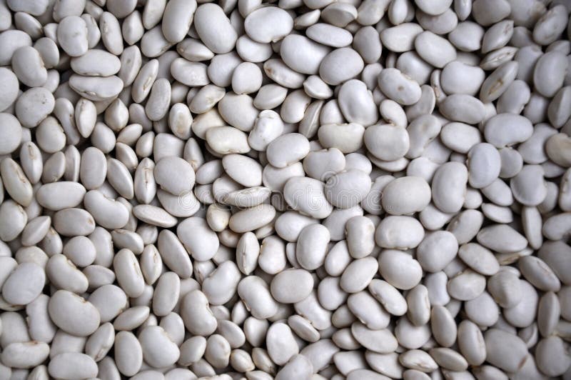 Background of White Dry Beans Stock Photo - Image of ripe, nutrition ...