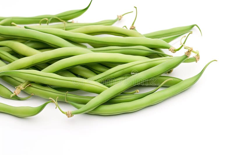 String Green Beans in a Box Stock Illustration - Illustration of ...