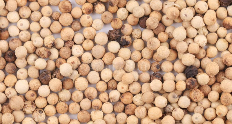 Background of White Pepper. Texture Stock Photo - Image of ingredient ...