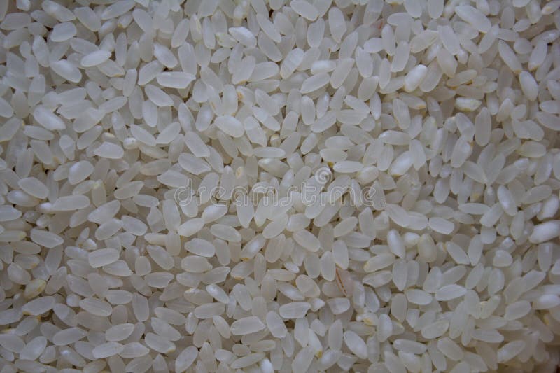 Background from White Rice. Grains of Rice Groats are Scattered on the ...