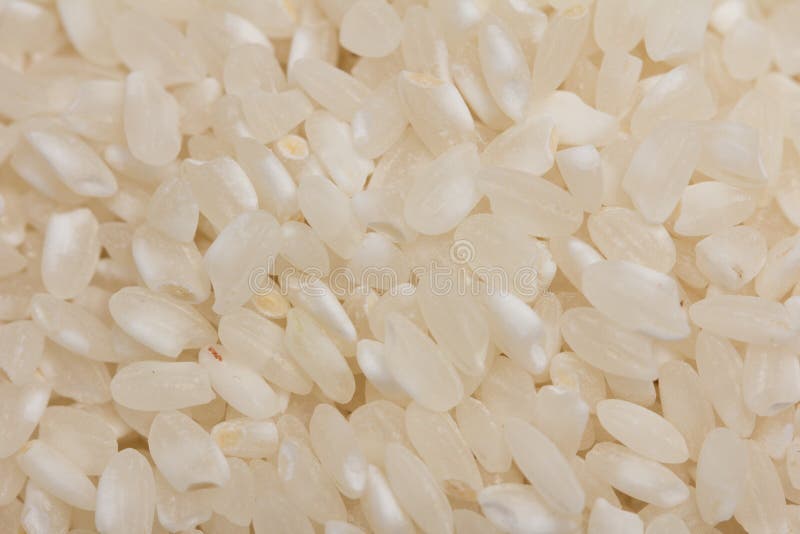 Background of White Rice. Macro Stock Photo - Image of asia, farming ...