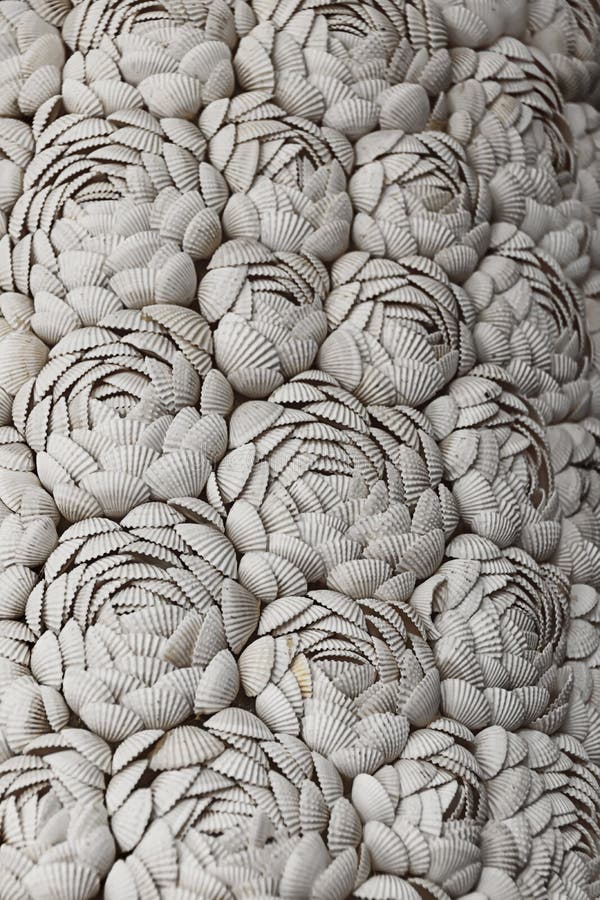 Background of white shells stock image. Image of shells - 118676773