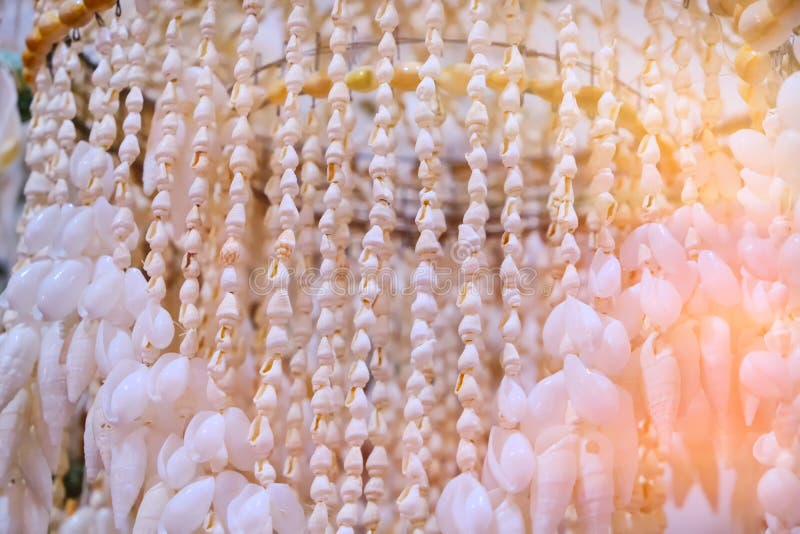 Background of White Shells on a String. Light Texture of Seashells ...