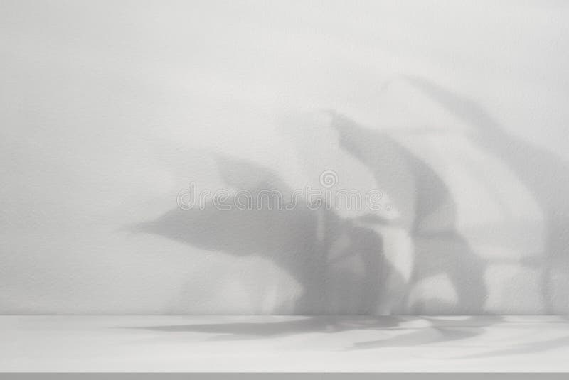 Background White Wall Studio with Shadow Leaves,light on Cement Desk ...