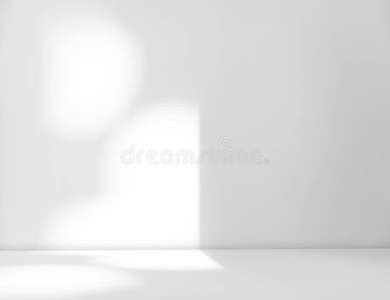 Background White Wall Studio with Shadow Leaves,Light on Smooth Surface ...