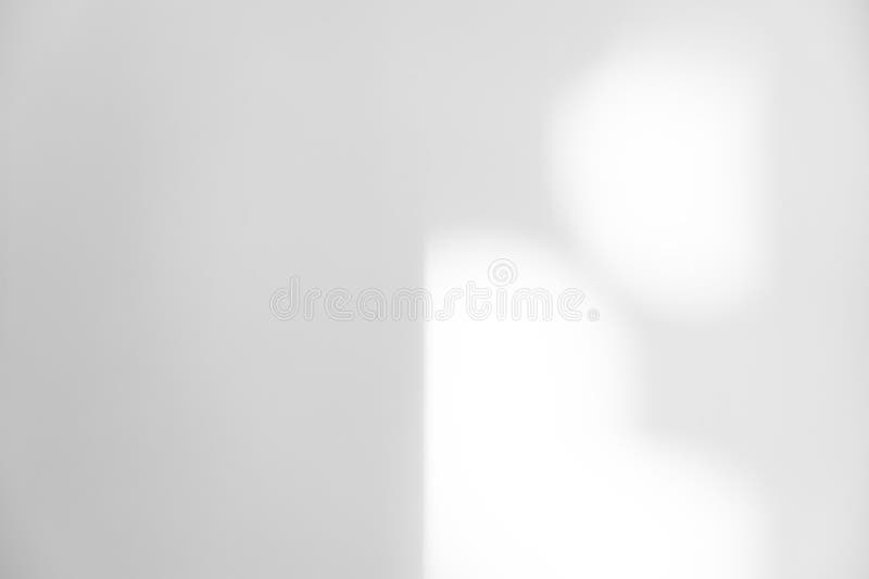 Background White Wall Studio with Shadow Leaves,light on Smooth Surface ...