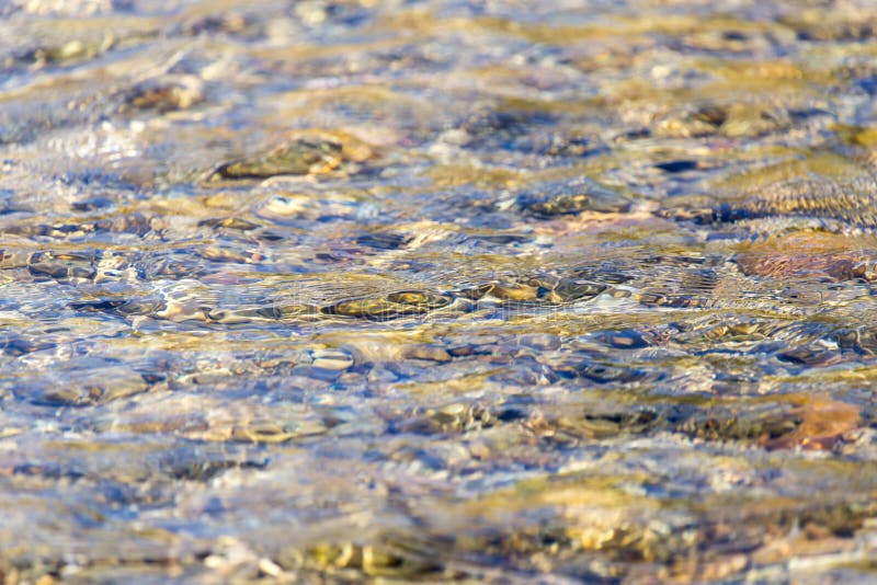 Background of Whitewater on the River Stock Image - Image of brook ...