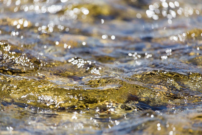 Background of Whitewater on the River Stock Photo - Image of background ...