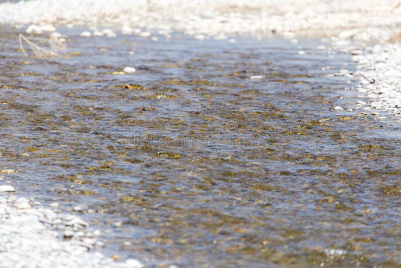 Background of Whitewater on the River Stock Image - Image of brook ...