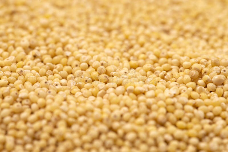 Background of Whole Millet Grain Stock Image - Image of roti, closeup ...