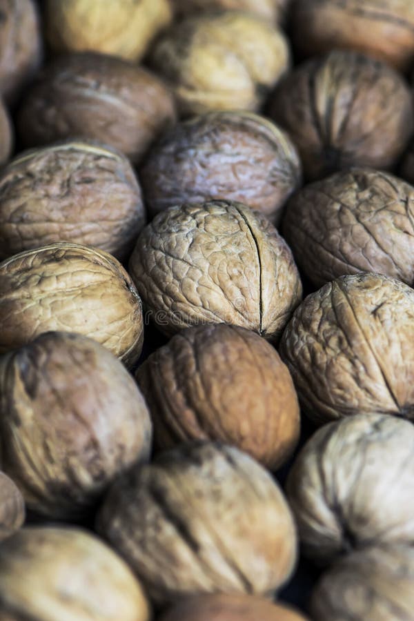 Background Whole Unpeeled Brown Nuts Stock Image - Image of brown ...