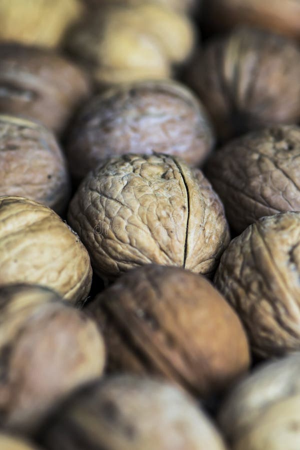 Background Whole Unpeeled Brown Nuts Stock Photo - Image of food, round ...
