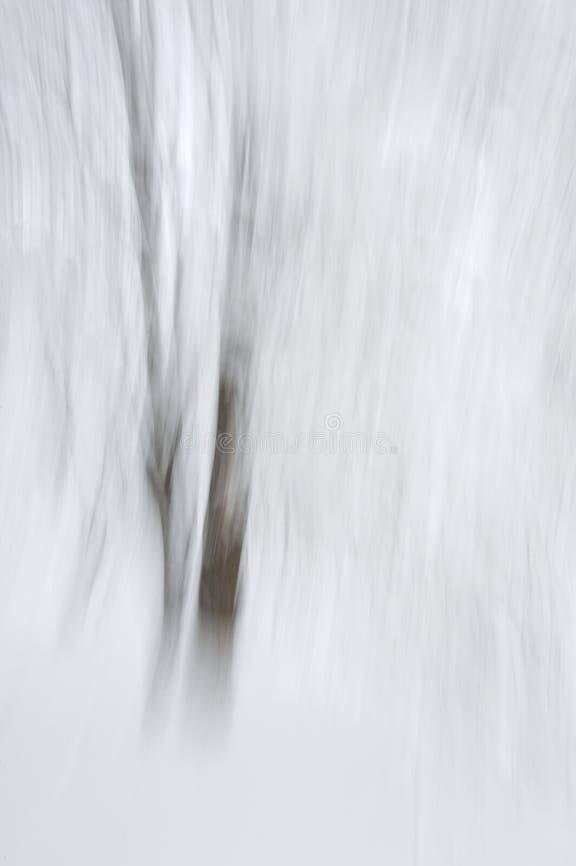 Background stock photo. Image of white, forest, distortion - 48045632