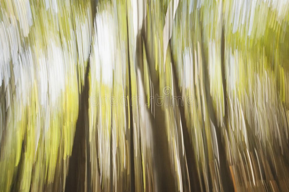 Background stock photo. Image of snow, distortion, forest - 48066982