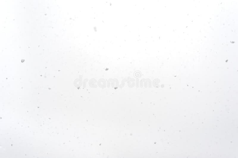 Background of Winter Small Snow Snowflakes Stock Photo - Image of frost ...